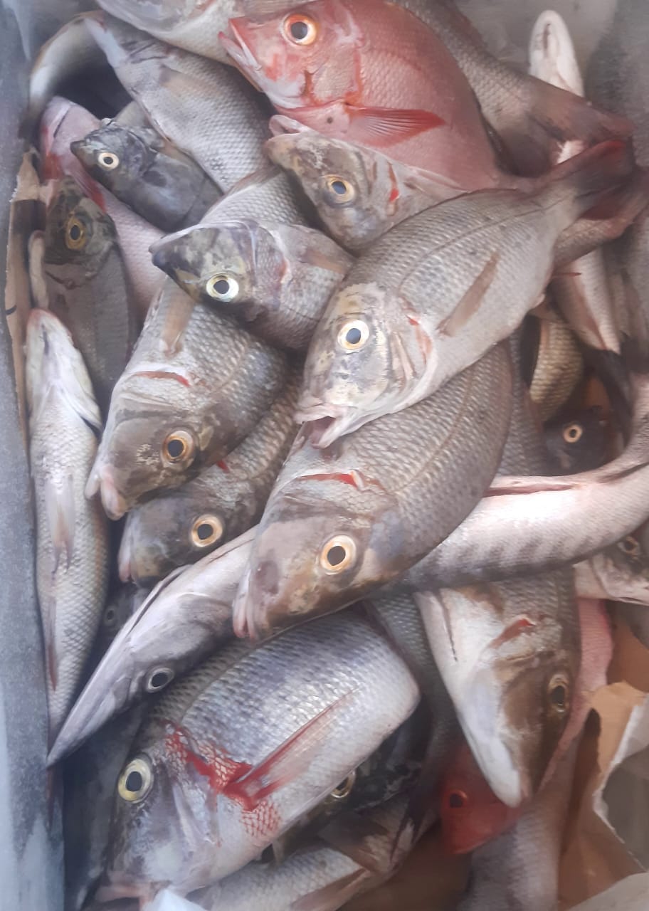 Changu Fish – Laneri